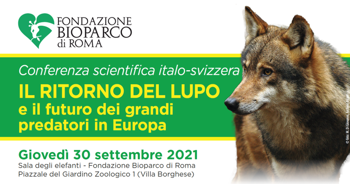 Italian-Swiss scientific conference: The return of the wolf and the ...